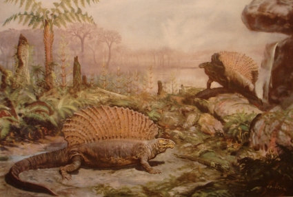 Axolotl: Tiere der Urzeit? -die Entstehung-Axolotl-online.de